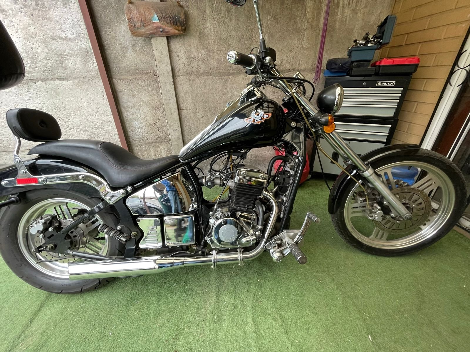 Regal Raptor Spider – helpcar.cl